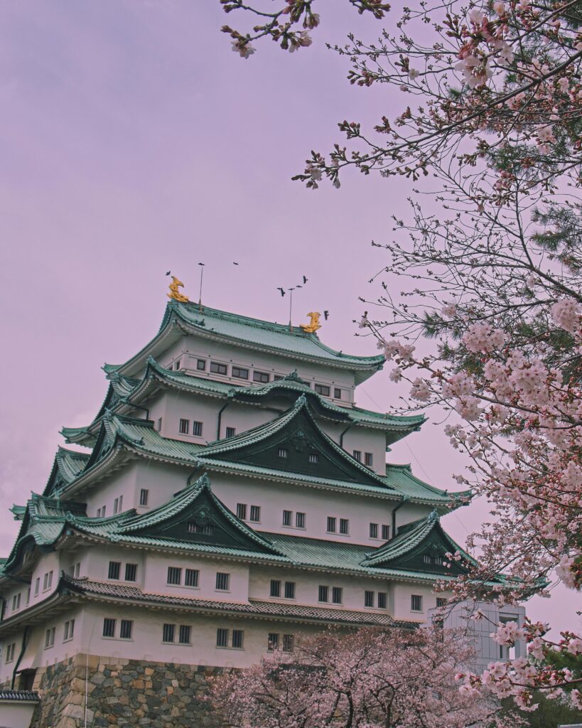 TOKAI REGION – Dandelions JAPAN