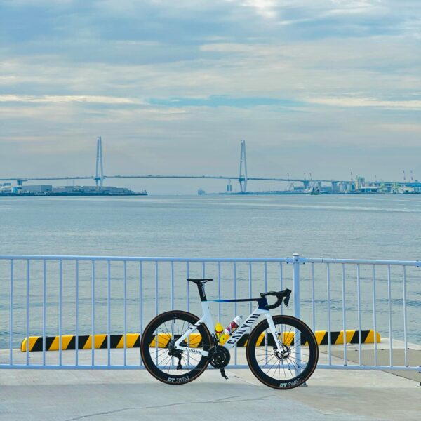 TOKAI REGION – Dandelions JAPAN