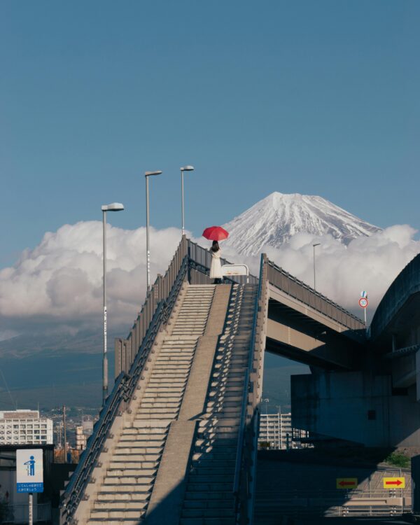 TOKAI REGION – Dandelions JAPAN